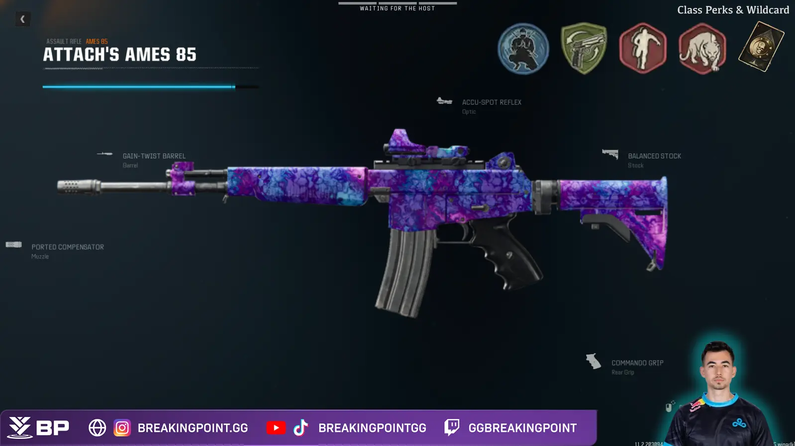 Best AMES 85 Loadouts and Class Guide in Black Ops 6 | Call of Duty ...