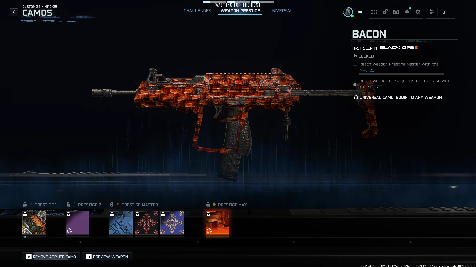 MPC-25 Guide: Best Classes, Camos, & Stats | Call of Duty League News ...